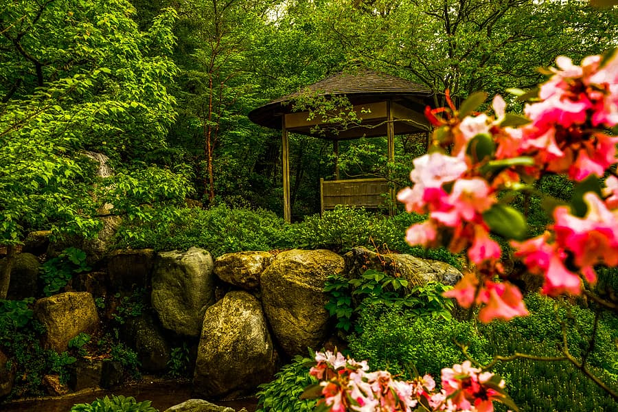 Medical Record Scanning and Storage Services in Rockford, IL | Record Nations